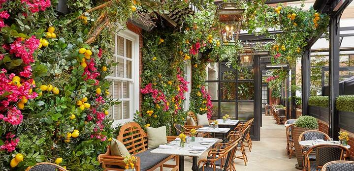 Restaurant & Bar in Central London | The Bloomsbury Hotel