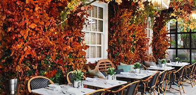 Bar and Restaurants in Bloomsbury | The Bloomsbury Hotel