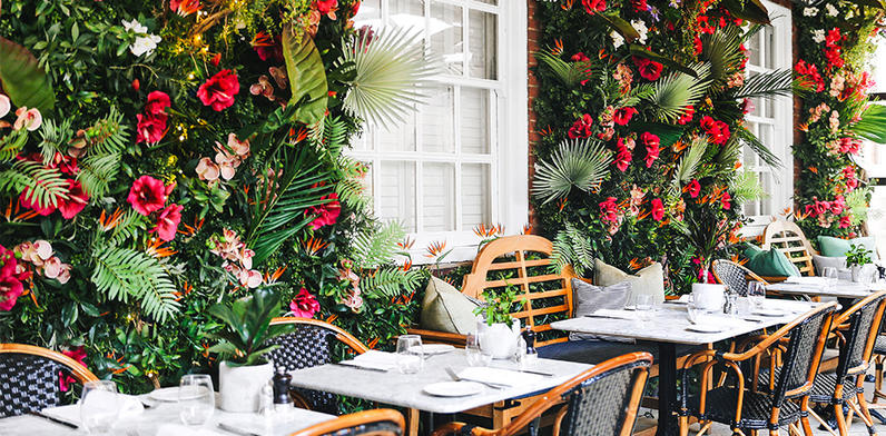 Family-Owned Luxury Hotels | The Doyle Collection