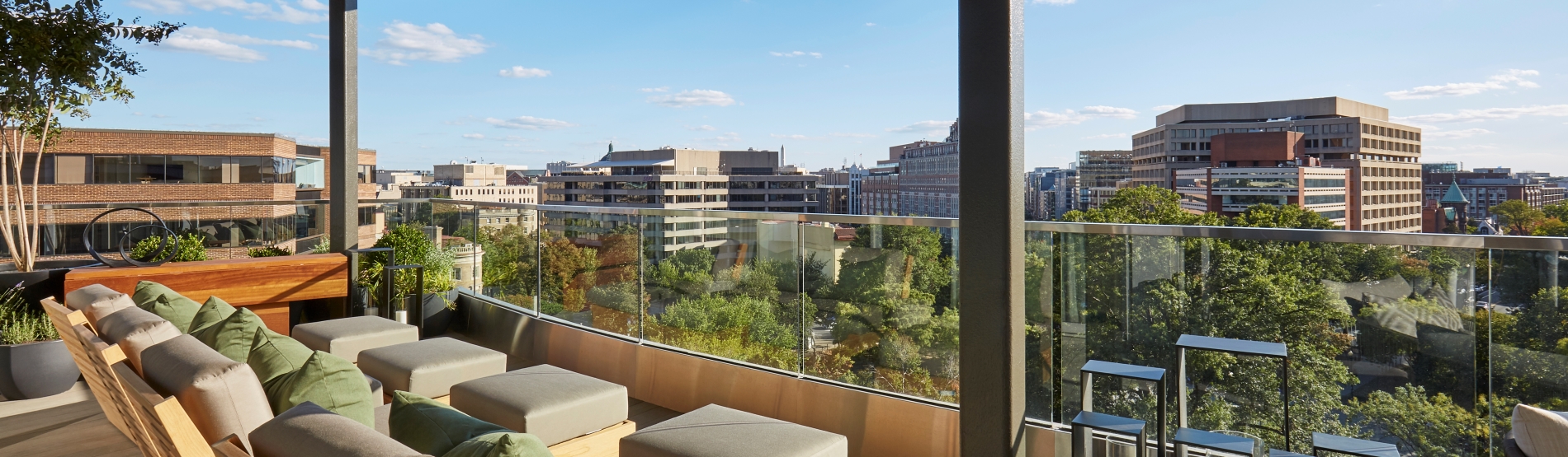 The Doyle Circle | Doyle Collection